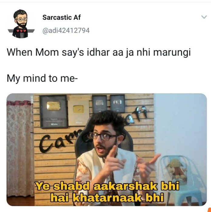 Carryminati Memes That Will Make You ROFL | Funny Carryminati Meme