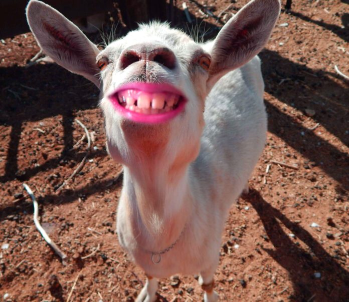 Funny and cool profile pictures dp will put smiles