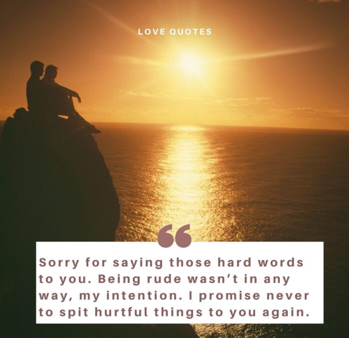 Sorry Status, Quotes and Messages Apologizing to Loved Ones