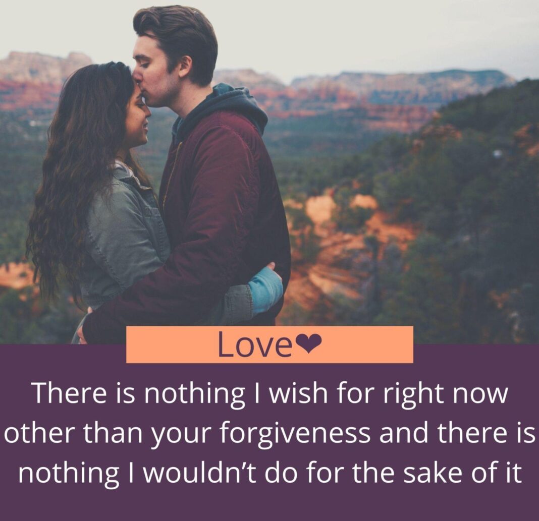 Sorry Status, Quotes and Messages Apologizing to Loved Ones