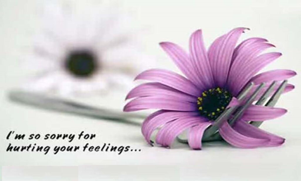 Sorry Status, Quotes and Messages Apologizing to Loved Ones