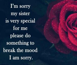 Sorry Sister Quotes Message for Your sister -To Make her Happy