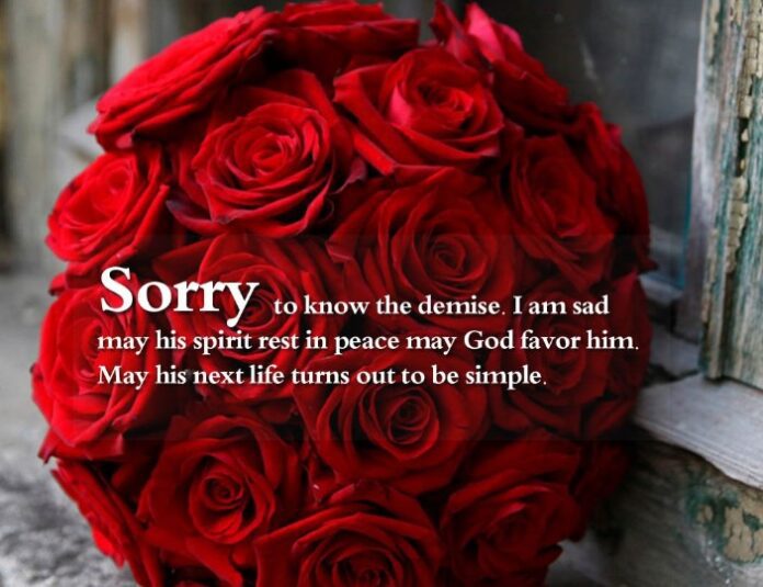 Sorry Sister Quotes Message for Your sister -To Make her Happy