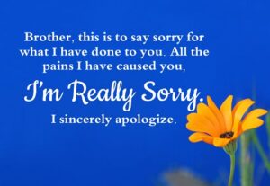 Sorry Sister Quotes Message for Your sister -To Make her Happy