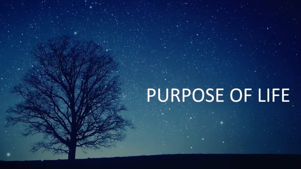 Life Purpose: What Is It and How to Find It in Different Way
