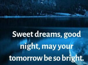80+ Best Good Night Whatsapp Status and Captions